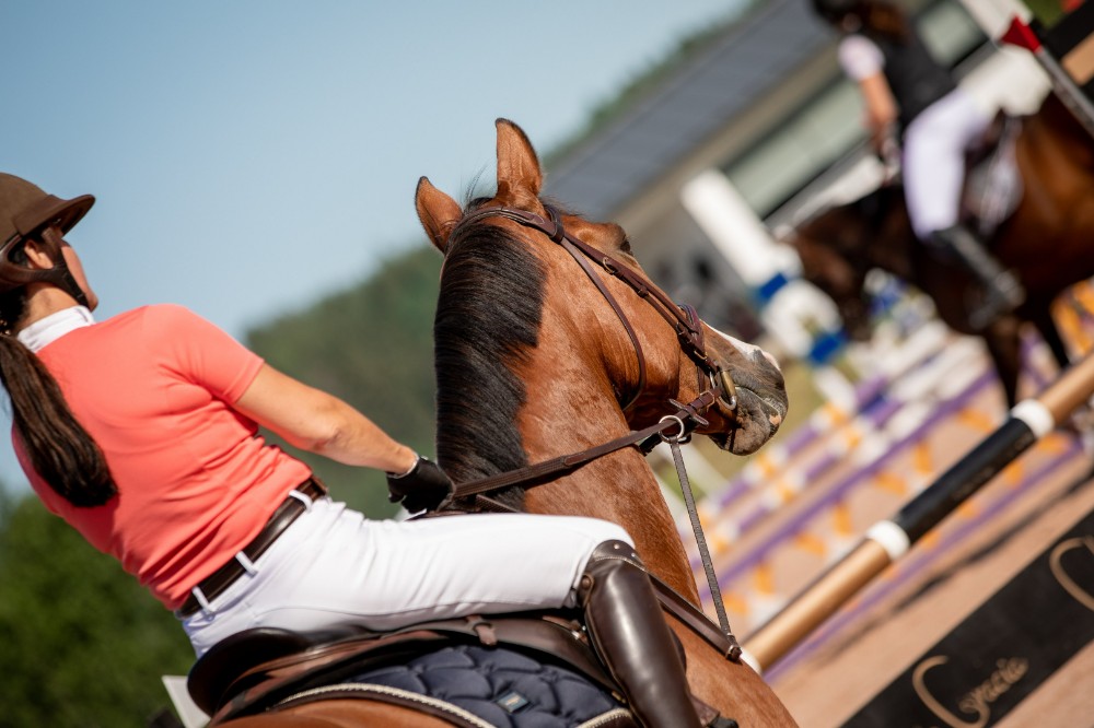 Hevosurheilija, kerro kokemuksistasi urheilun parissa Helsingin ...