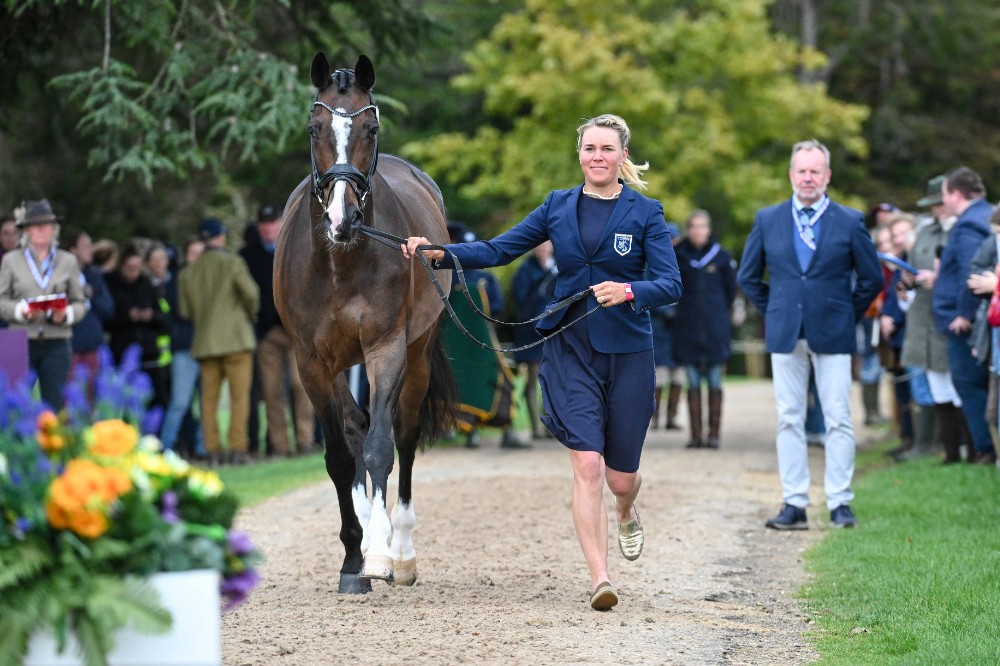 Kenttä-EM - Bofey Click läpi hevostarkastuksesta - Suomen ...